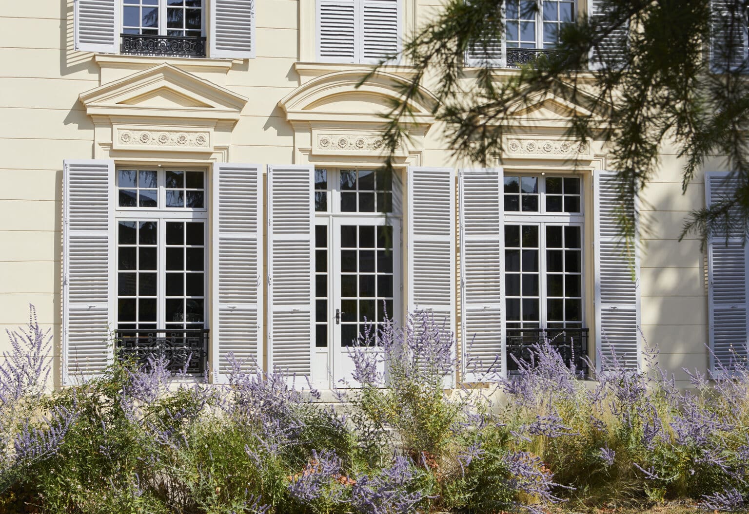 SDL vs TDL Windows: Which to Choose | Maison Janneau